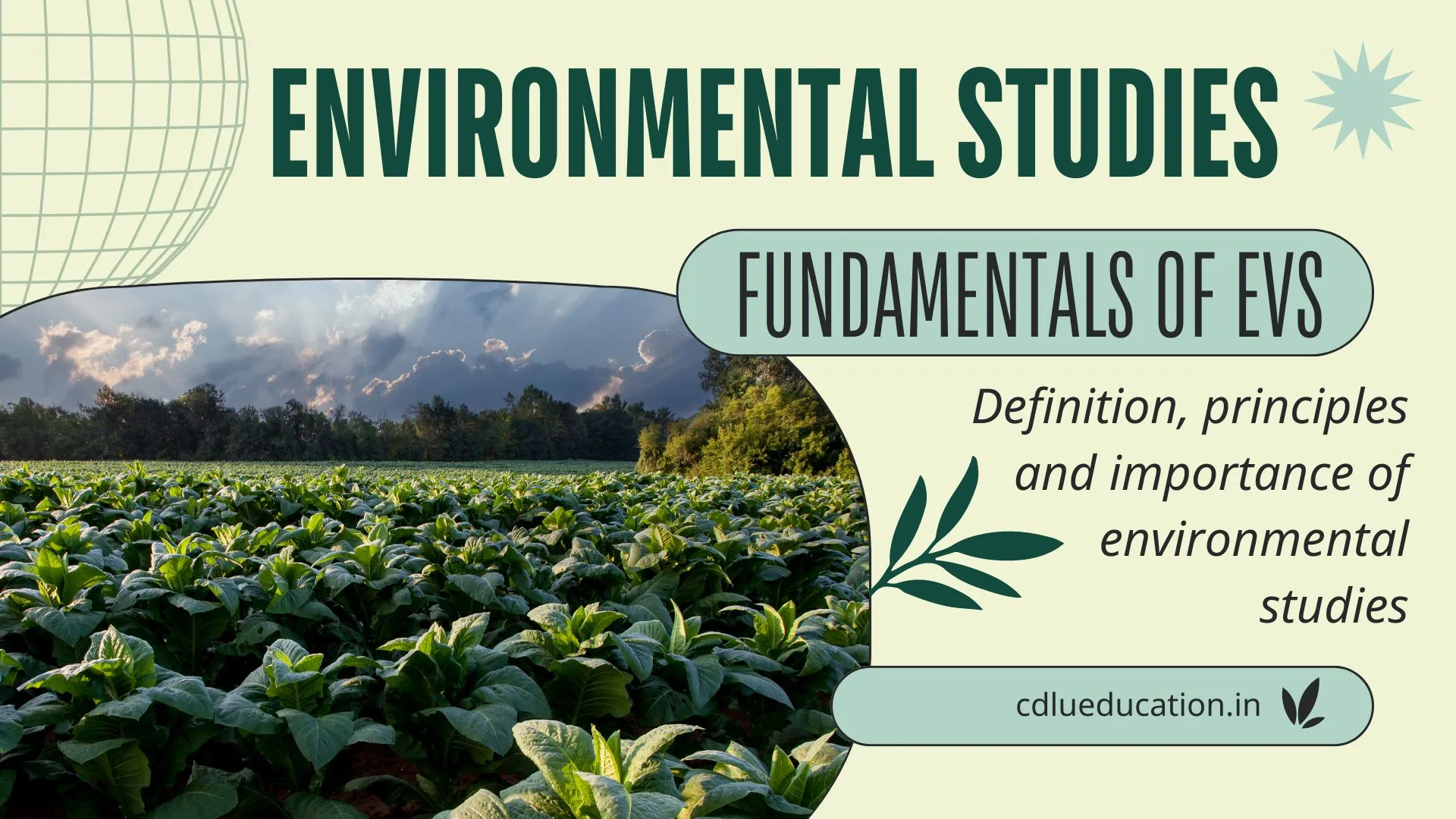 Definition, Principles And Importance Of Environmental Studies - CDLU ...