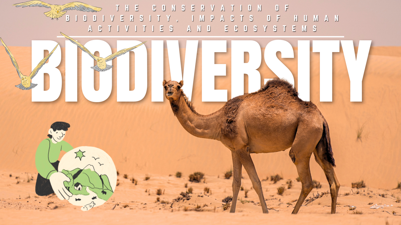 10 Simple Secrets Of Biodiversity: Innovative Solutions For ...