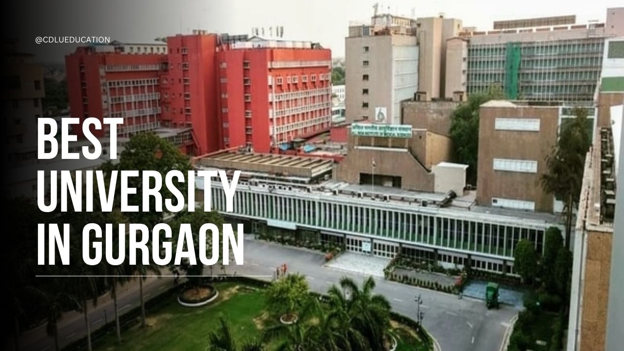Best University In Gurgaon