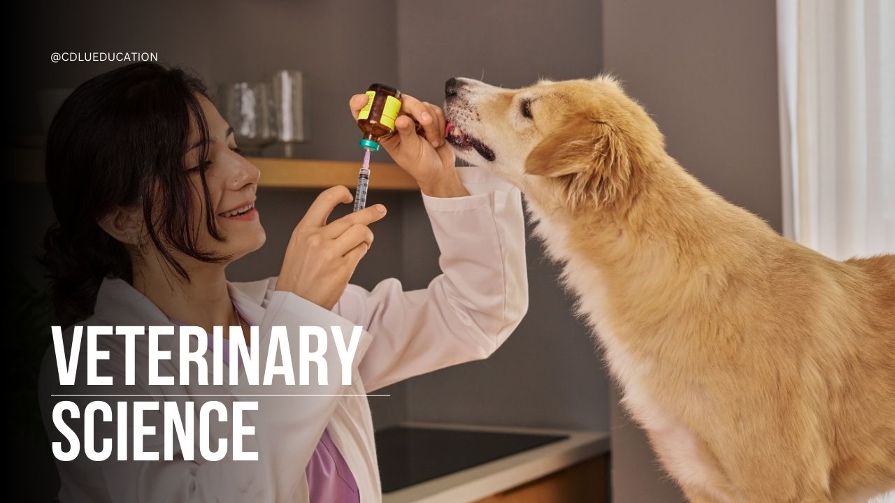 Top Career Options In Veterinary Science In India